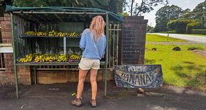 Hill-top hot-tub & sauna - Adventure by Sarah in Clunes, North Coast, NSW, AU | Riparide