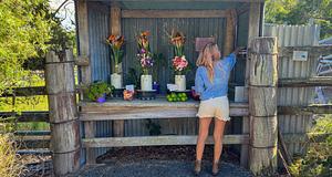 Hill-top hot-tub & sauna - Adventure by Sarah in Clunes, North Coast, NSW, AU | Riparide