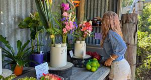 Hill-top hot-tub & sauna - Adventure by Sarah in Clunes, North Coast, NSW, AU | Riparide