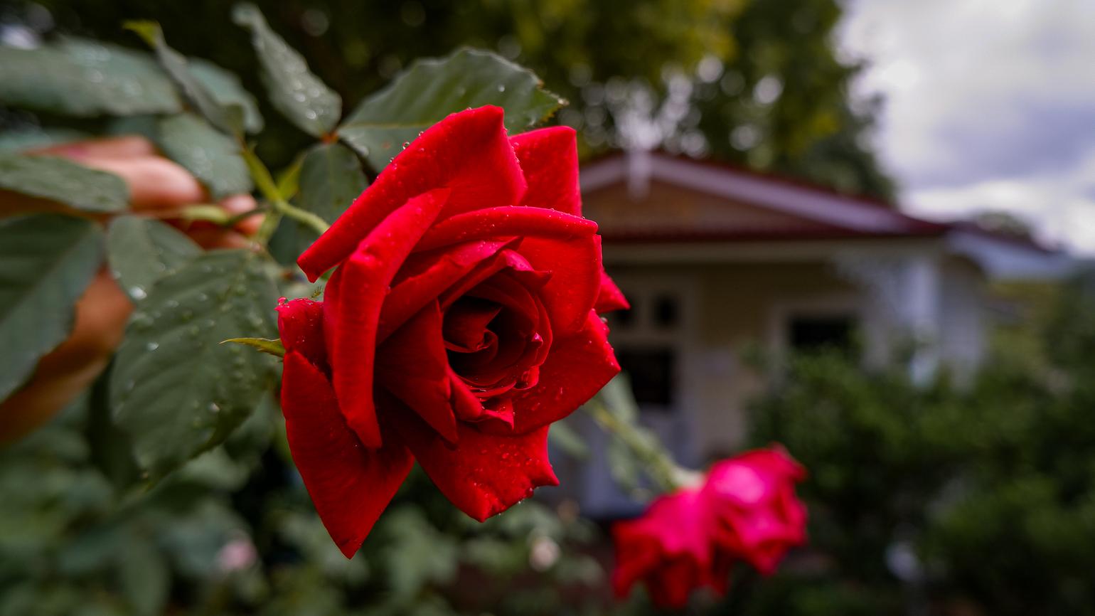 Explore the historic village | Riparide