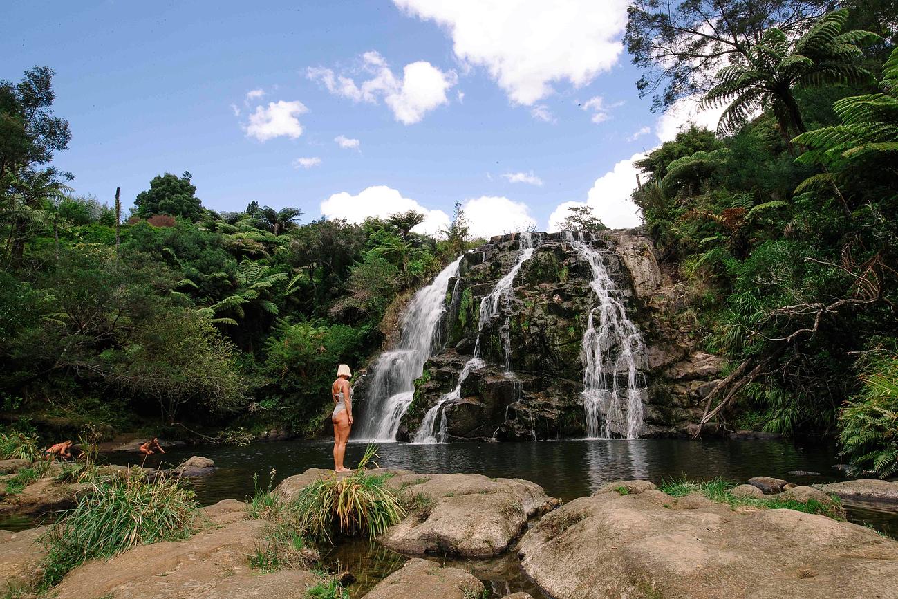 Owharoa Falls | Riparide