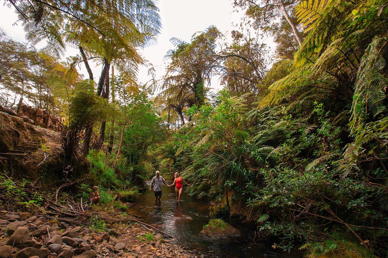 Explore the property | Riparide