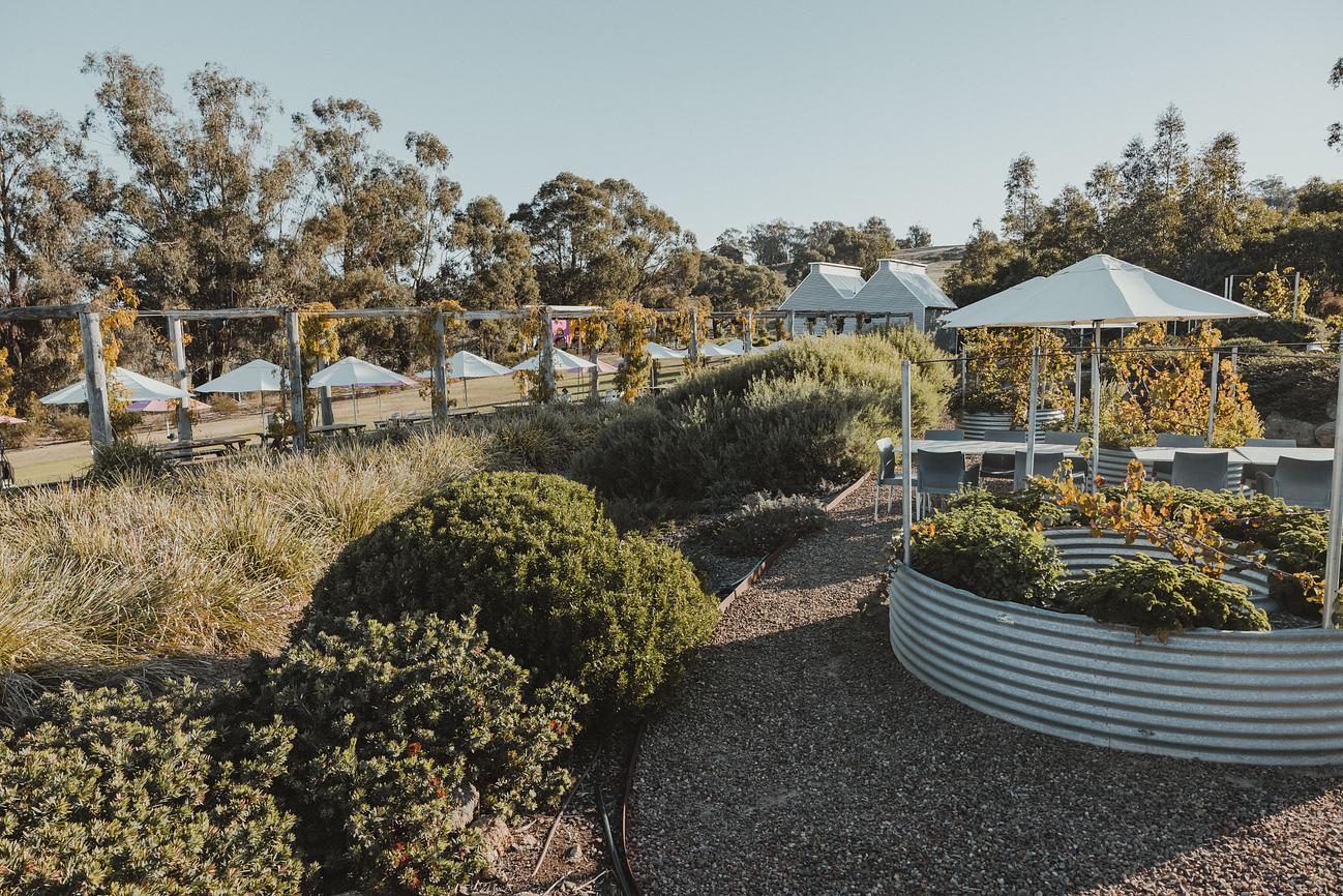 Fowles Winery | Riparide