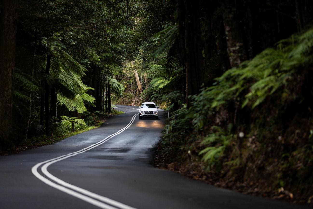 Scenic Drive Through Megalong Valley | Riparide