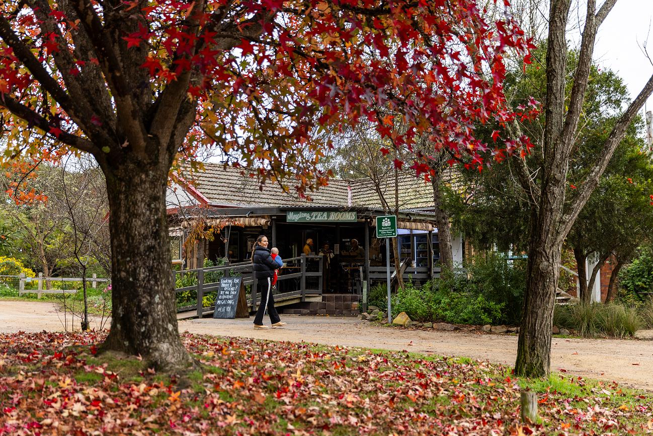 Megalong Valley Tea Rooms | Riparide