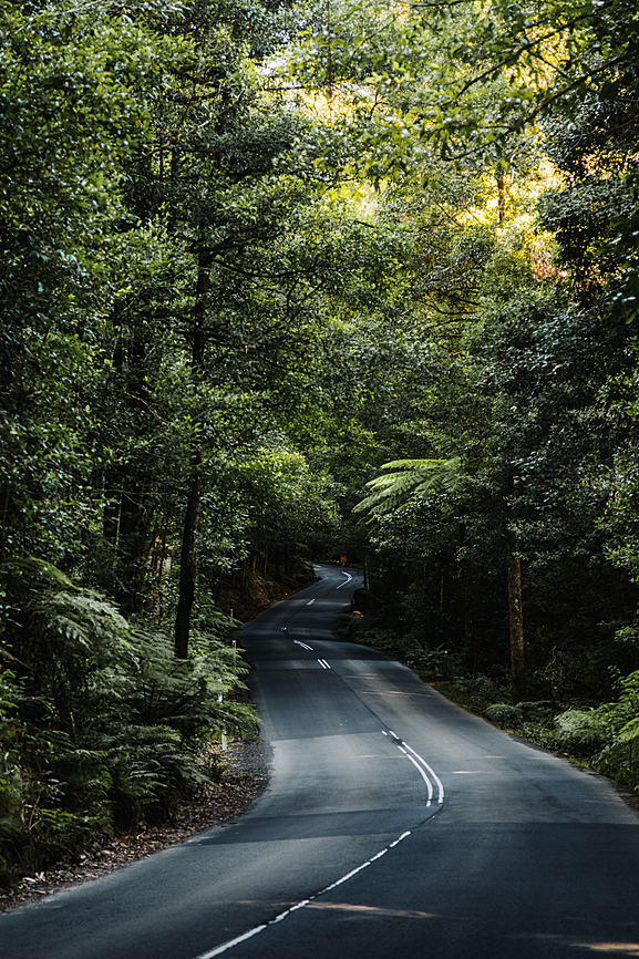 The Drive In | Riparide