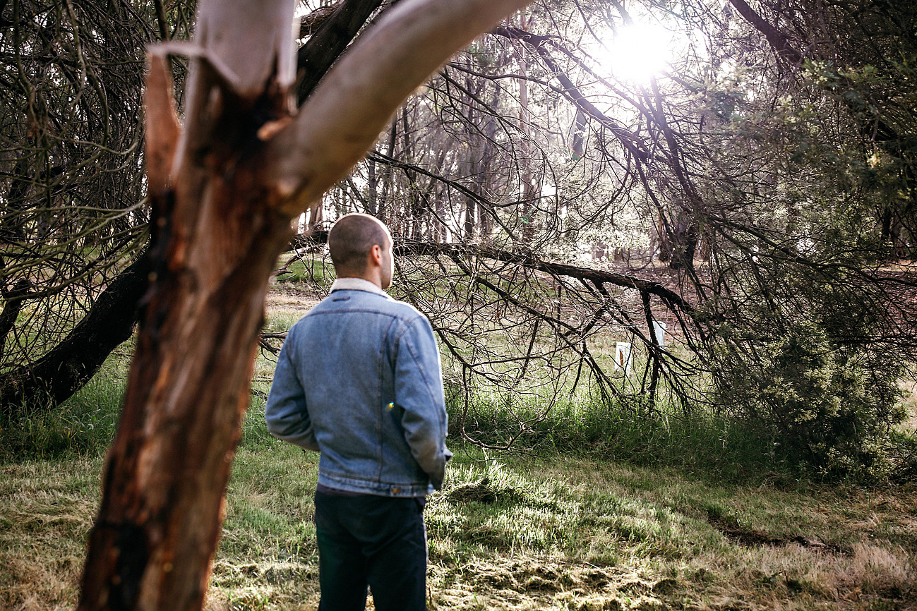 Bush Walks | Riparide