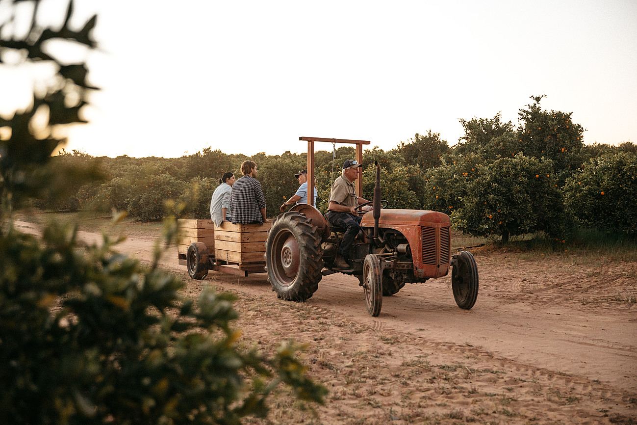 Orange & Hazelnut Farm | Riparide