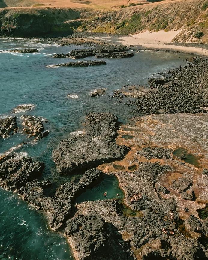 Mornington Peninsula Rockpool | Riparide