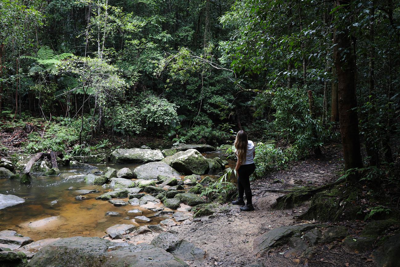 Strickland Forest nature hike | Riparide