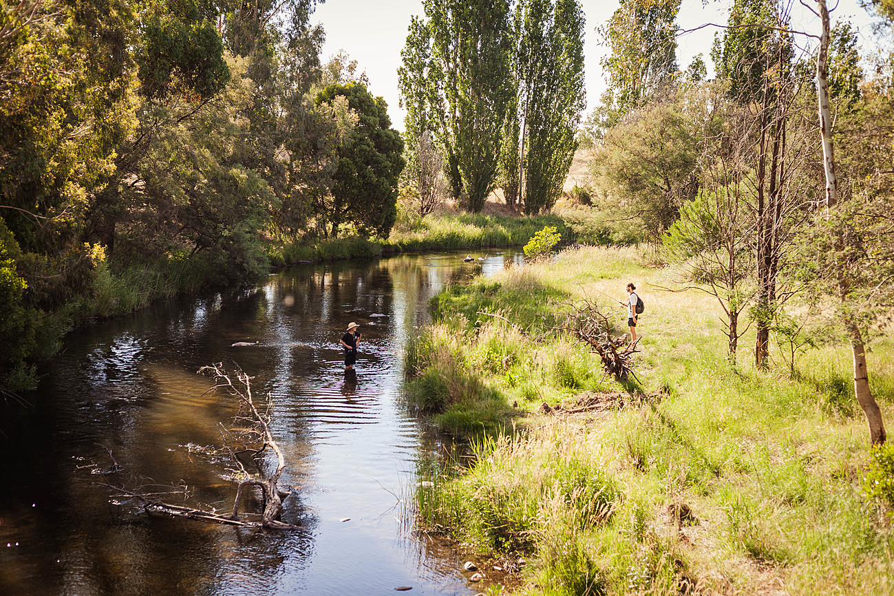 Delatite River Fishing | Riparide