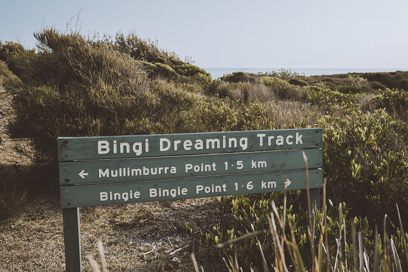 Bingie Dreaming Track | Riparide