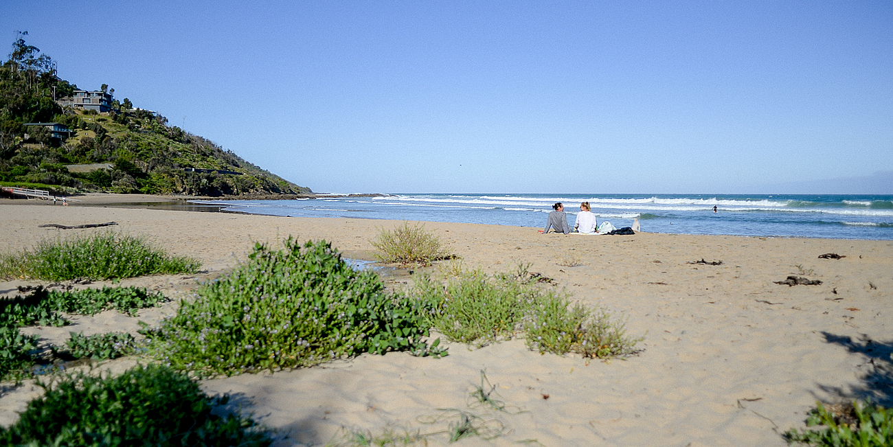 You, Me, The Forest and The Sea. - Adventure by Liam in Barramunga ...