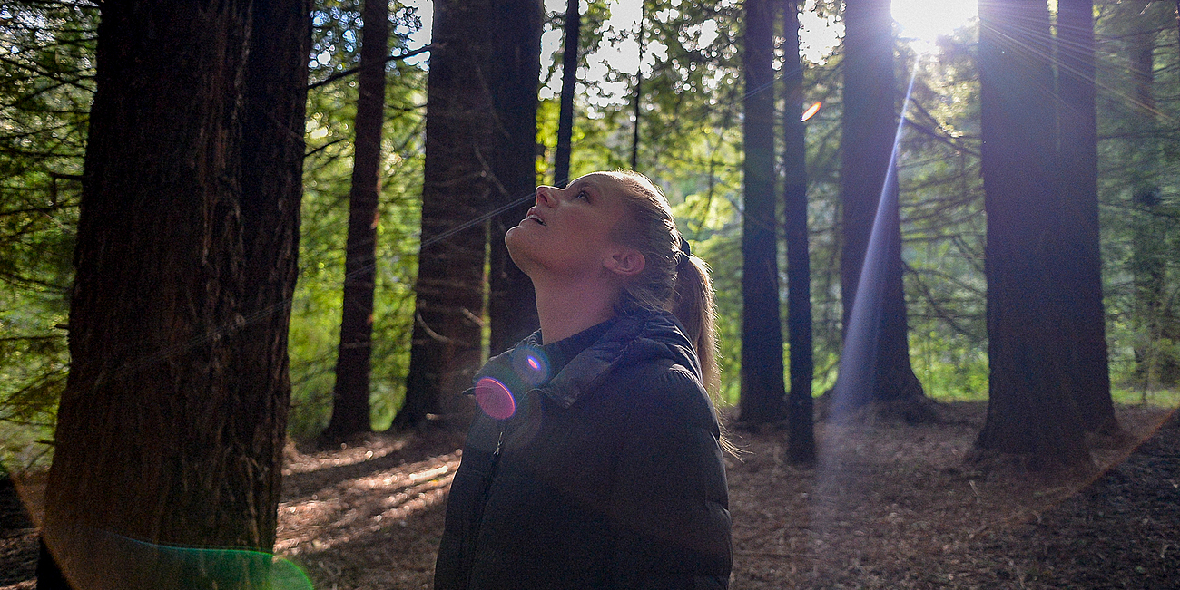 You, Me, The Forest and The Sea. - Adventure by Liam in Barramunga ...