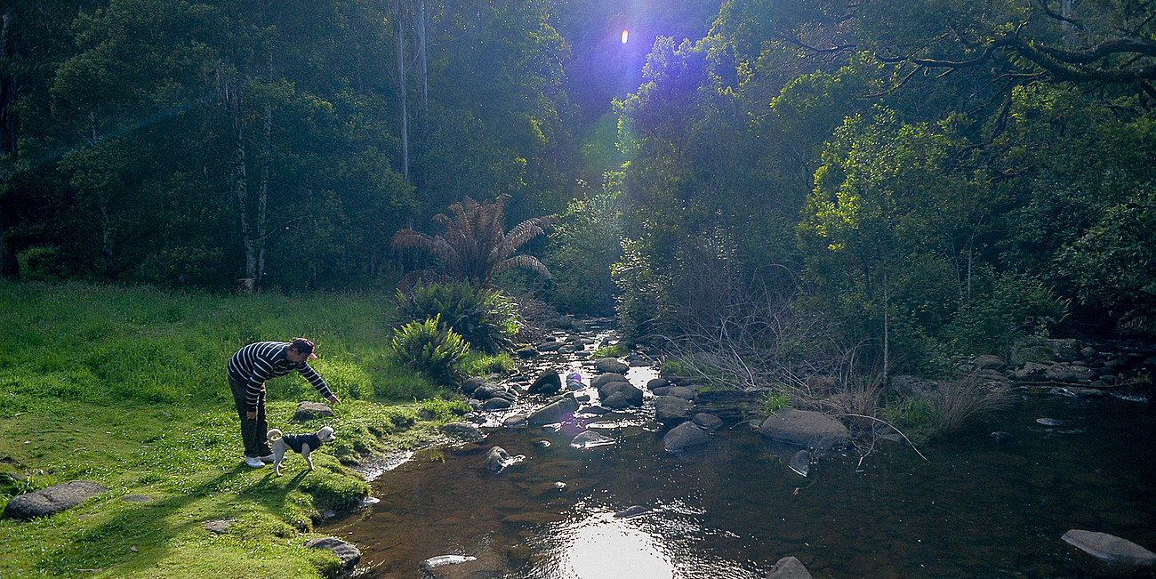 You, Me, The Forest and The Sea. - Adventure by Liam in Barramunga ...