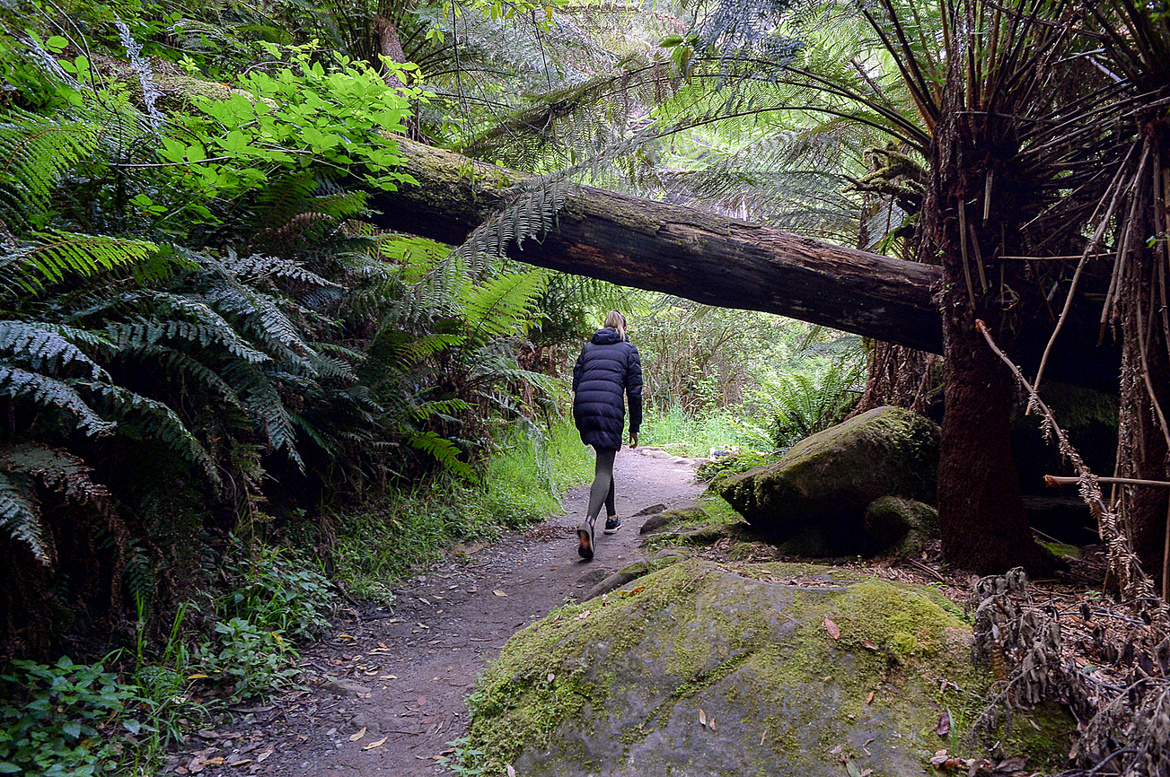 You, Me, The Forest and The Sea. - Adventure by Liam in Barramunga ...