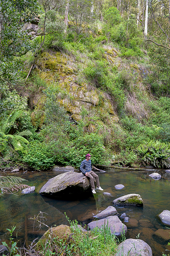 You, Me, The Forest and The Sea. - Adventure by Liam in Barramunga ...