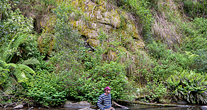 You, Me, The Forest and The Sea. - Adventure by Liam in Barramunga ...