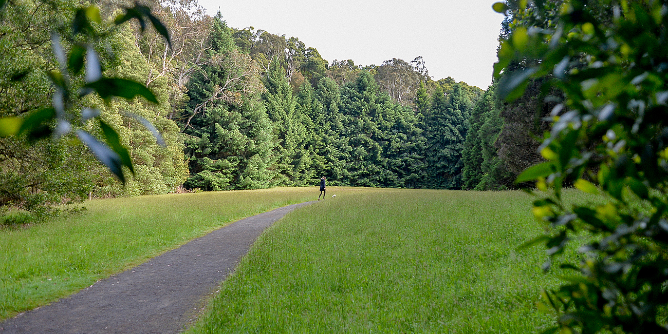 You, Me, The Forest and The Sea. - Adventure by Liam in Barramunga ...