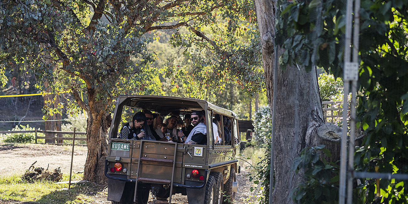 Fawlty Farm - Includes 3 Free Adventures - Lodge for Rent in Taylor Bay ...