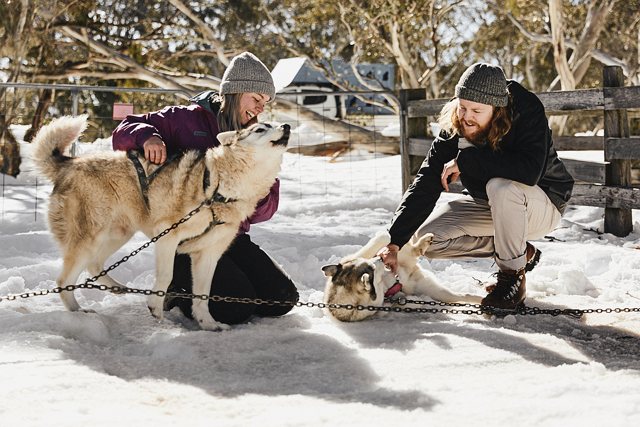 Alpine Adventures - Adventure by Brook in Gapsted, High Country, VIC ...