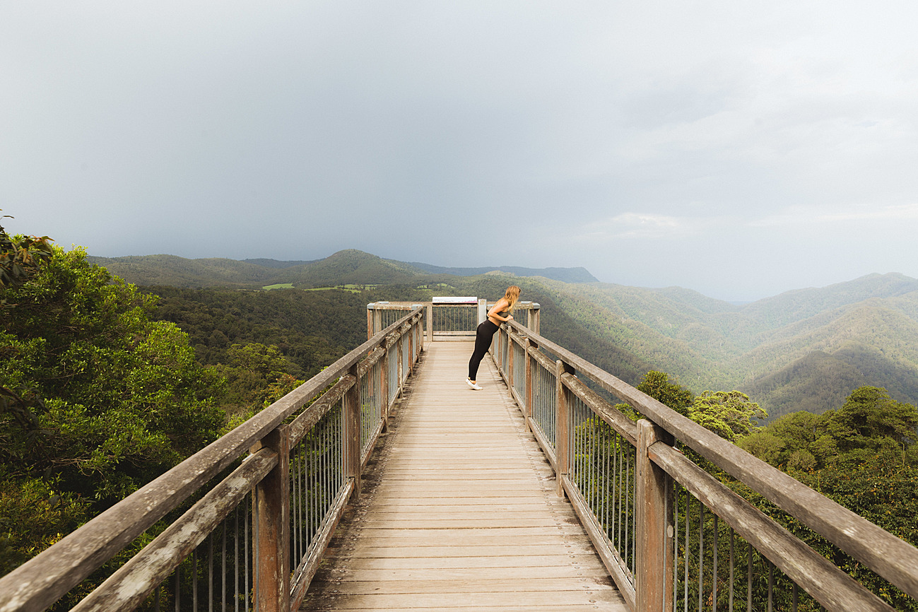 Dorrigo National Park walk | Riparide
