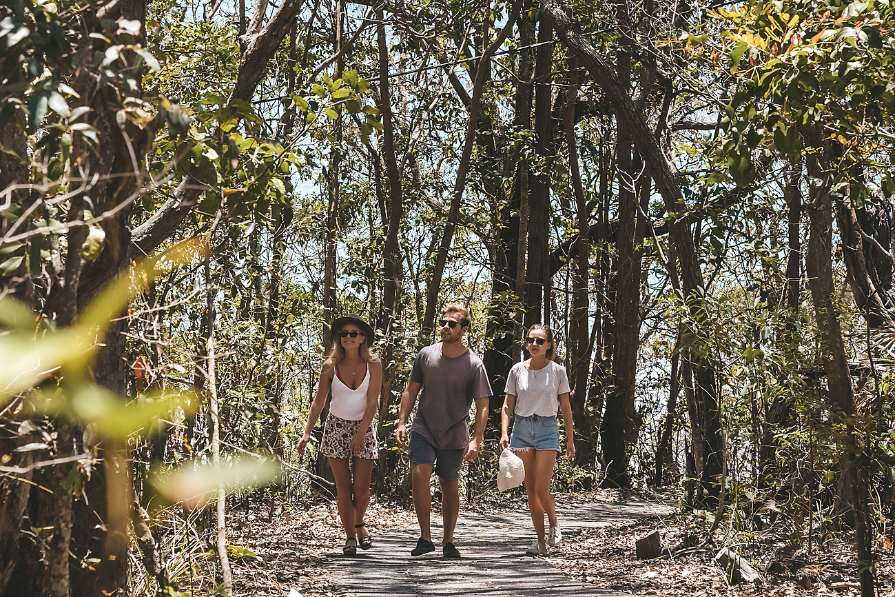 Byron Bushwalk | Riparide