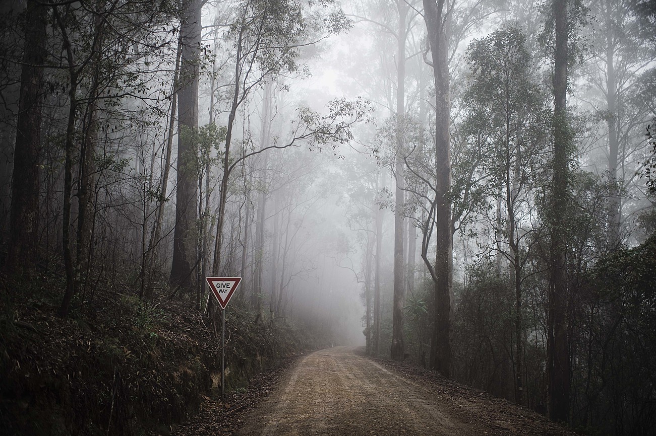 Scenic drive to Gloucester Falls | Riparide