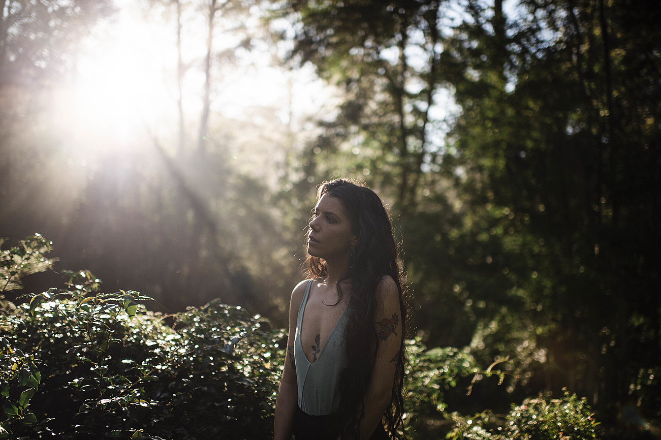 Bushwalk all over the property | Riparide