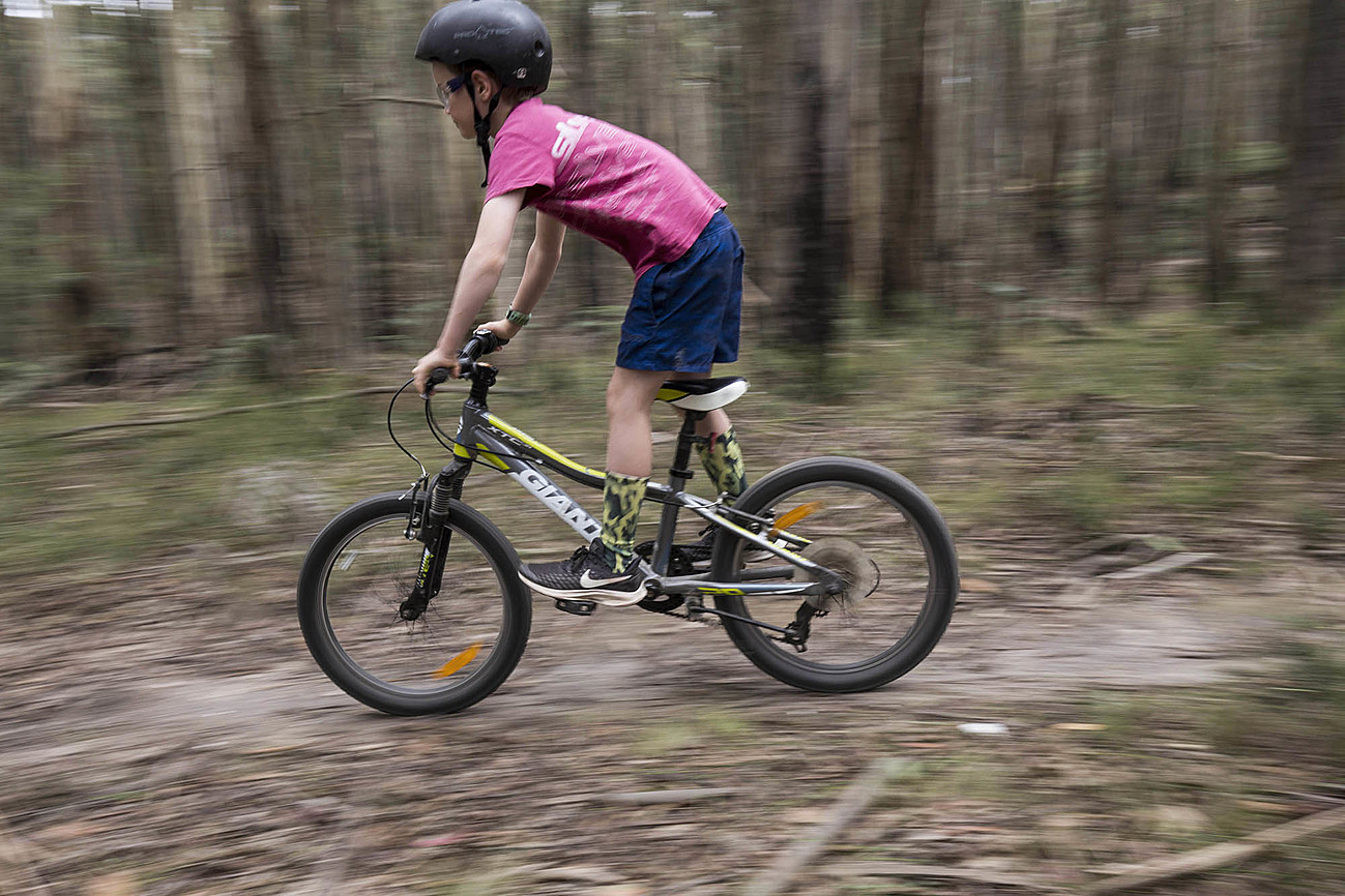 Mountain Biking At Wombat State Forest | Riparide