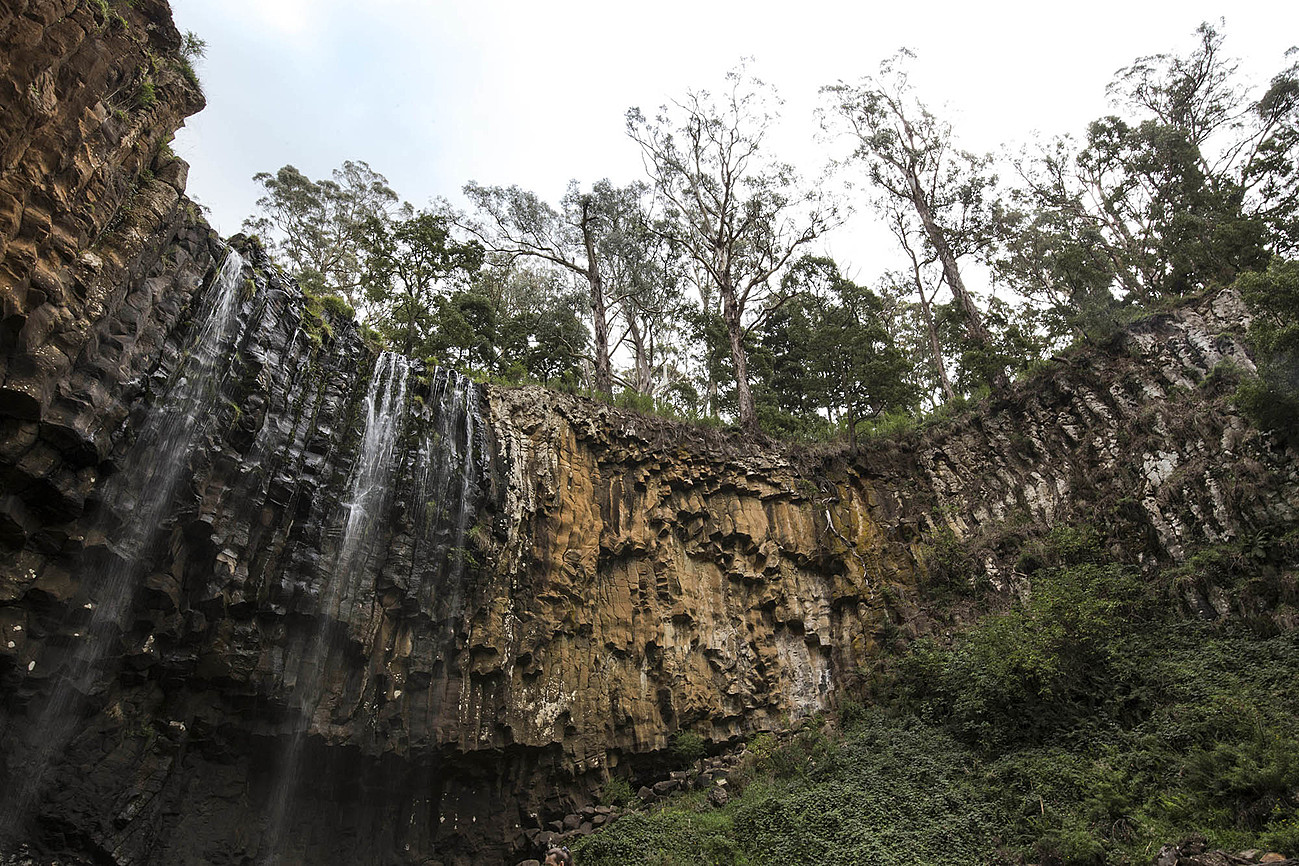 Trentham Falls | Riparide