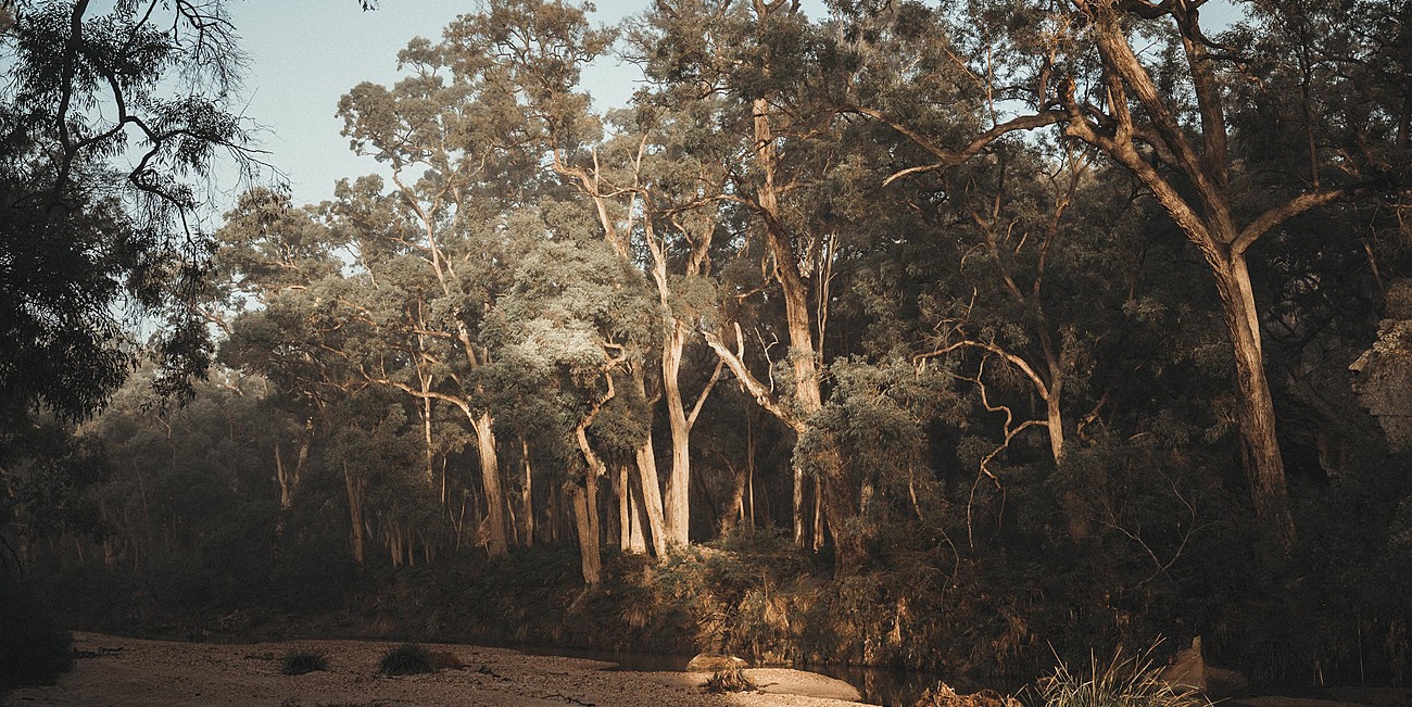 River Cottage - Cottage for Rent in Ulan, Country NSW, NSW, AU | Riparide