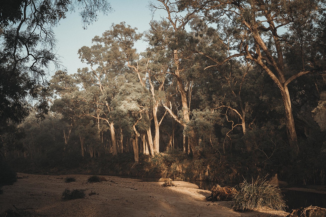 River Cottage - Cottage for Rent in Ulan, Country NSW, NSW, AU | Riparide