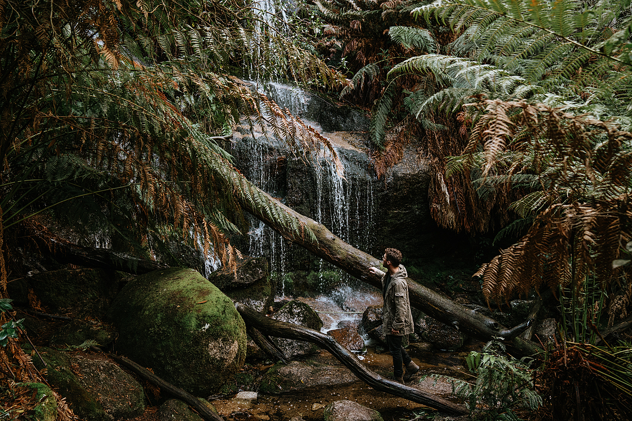 Loop hike to Ferntree Waterfalls | Riparide