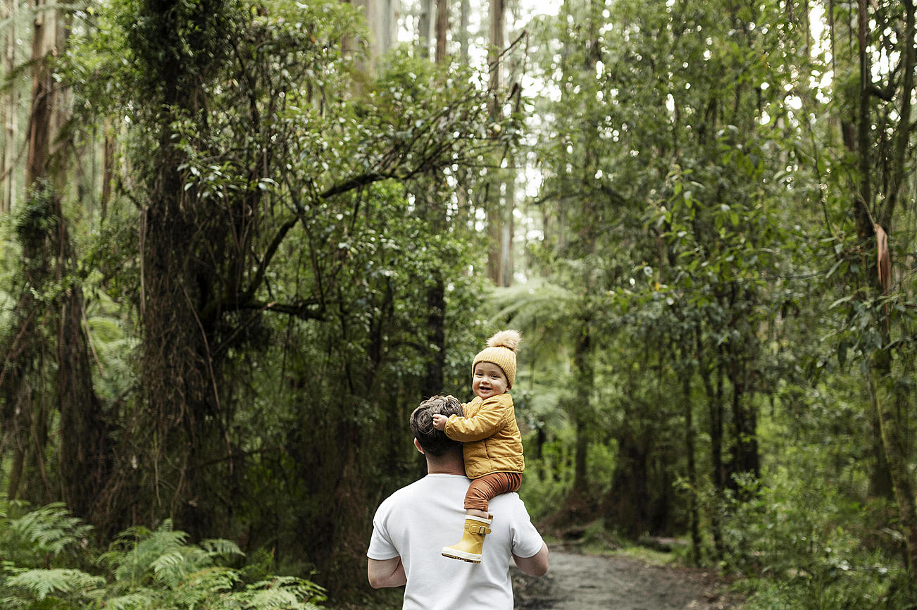 Tall Timber - Adventure by Jesse in Sassafras, Dandenong Ranges, VIC, AU | Riparide