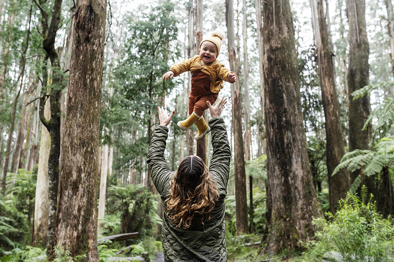 Sherbrook Forest | Riparide
