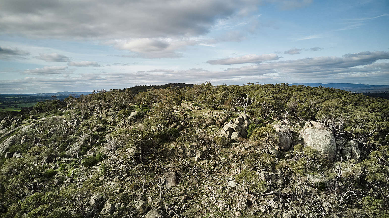 Golden Maldon - Adventure by Zac in Maldon, Goldfields, VIC, AU | Riparide