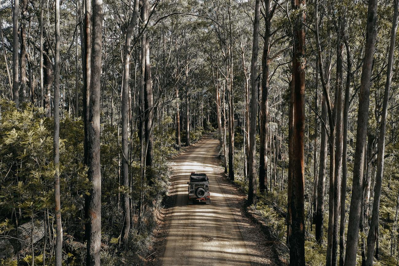 Drive through Barrington Tops National Park | Riparide