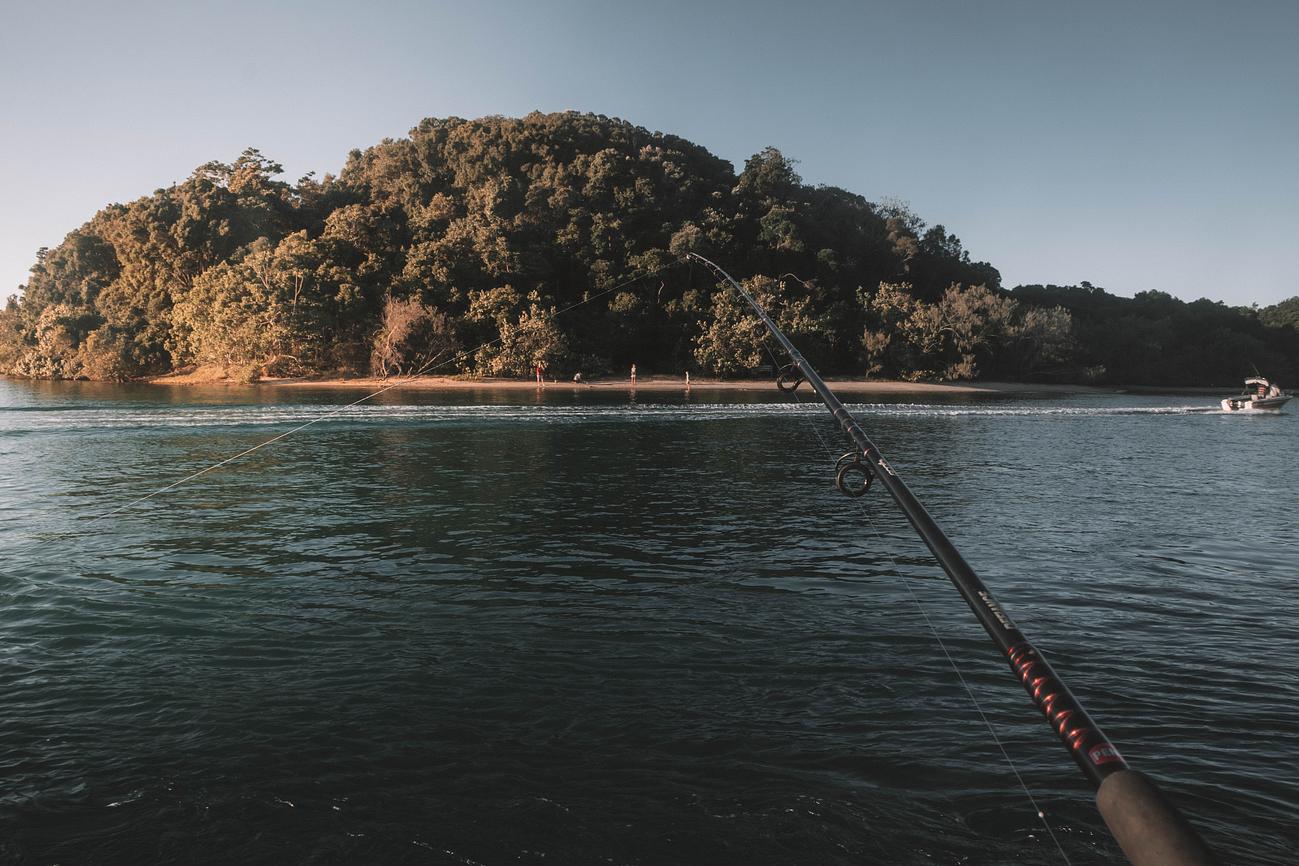 Historic Timber Barn on the Brunswick River - Barn for Rent in Mullumbimby, North Coast, NSW, AU ...