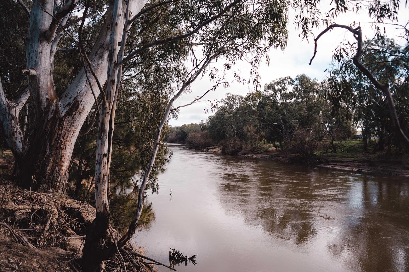 Wiradjuri walking track in Wagga | Riparide