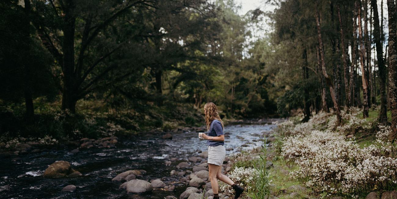 The Allyn River Cabin - Cabin for Rent in Upper Allyn Barrington Tops ...