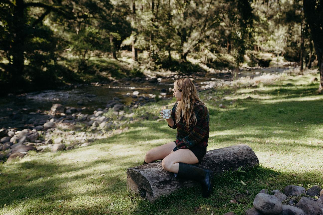 The Allyn River Cabin - Cabin for Rent in Upper Allyn Barrington Tops ...