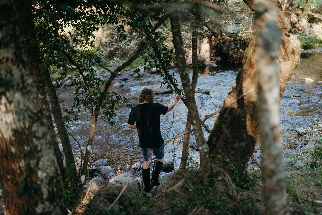 Exploring the property | Riparide