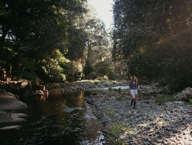 The Allyn River Cabin - Cabin for Rent in Upper Allyn Barrington Tops ...