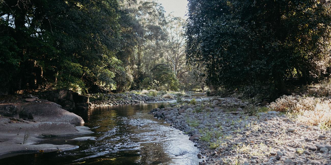 The Allyn River Cabin - Cabin for Rent in Upper Allyn Barrington Tops ...