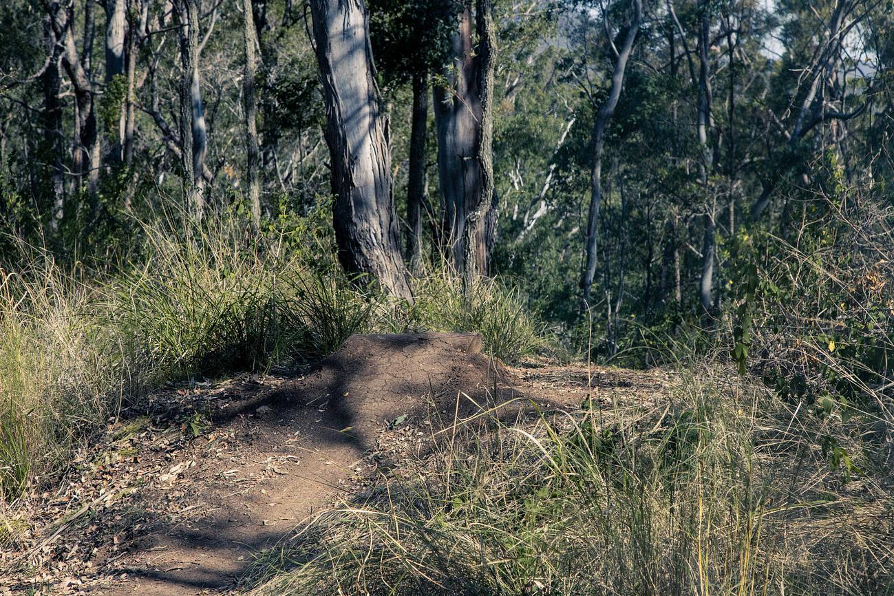 Mountain Bike Riding | Riparide