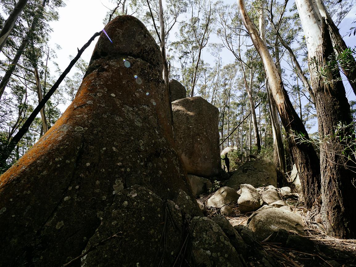 Mt Dromedary Boulder Hike | Riparide