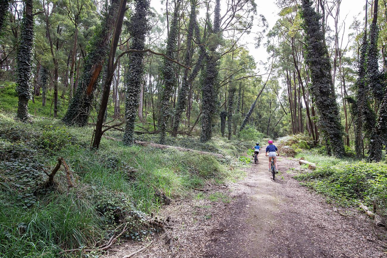 Modesc Escape at Timboon - Adventure by Xavier in Timboon, Great Ocean ...