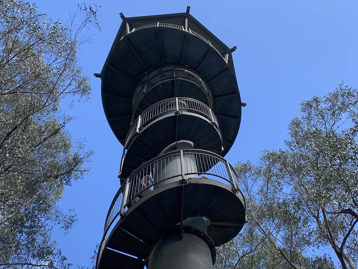 Otway Fly Treetop Adventures | Riparide