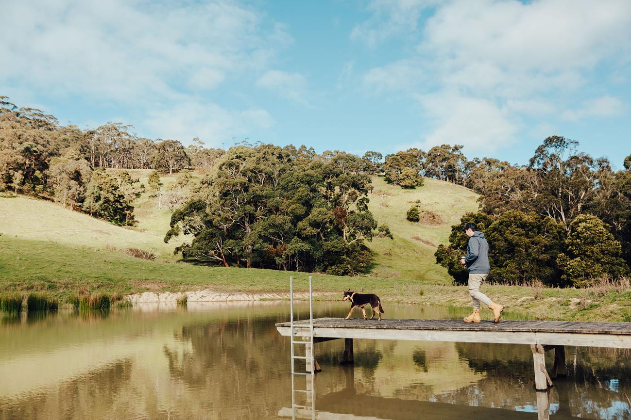 Surf 'n' Turf - Adventure by Chloe in Deans Marsh, Great Ocean Road ...